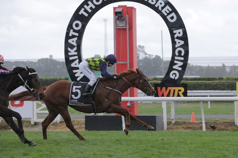 Caitlyns Wish all the way at Te Rapa - Haunui Farm