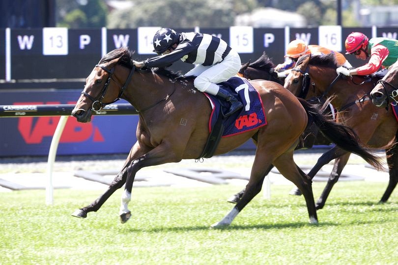 Ribchester filly steps up to Group One task - Haunui Farm