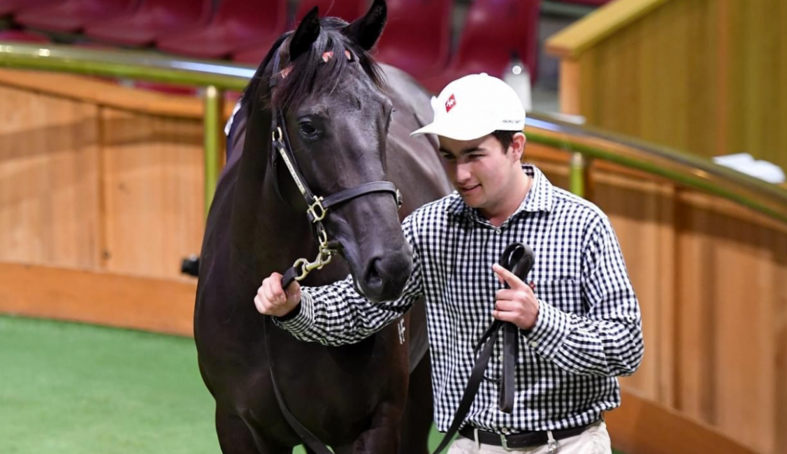 Chitty Named 2024 NZTR McKenzie Future Leaders Scholarship Recipient ...